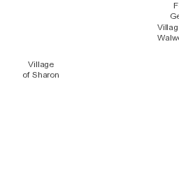 ArcGIS Web Application