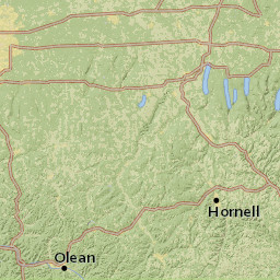 ArcGIS Web Application