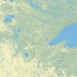 ArcGIS Web Application