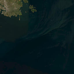 ArcGIS Web Application