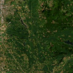 ArcGIS Web Application