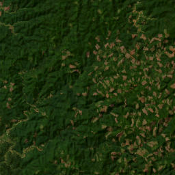 ArcGIS Web Application