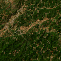 ArcGIS Web Application