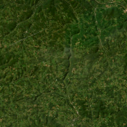 ArcGIS Web Application