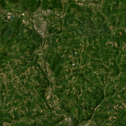 ArcGIS Web Application