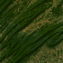 ArcGIS Web Application