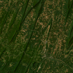 ArcGIS Web Application