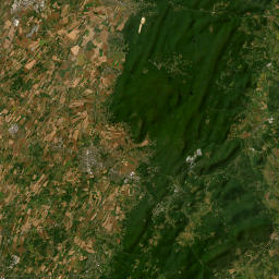 ArcGIS Web Application