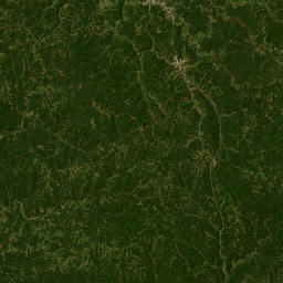 ArcGIS Web Application