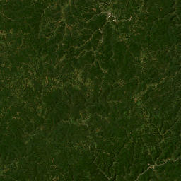 ArcGIS Web Application