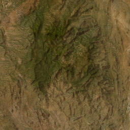 ArcGIS Web Application