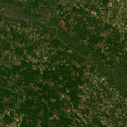 ArcGIS Web Application