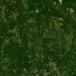 Livingston Parish LMI Map