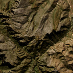 ArcGIS Web Application