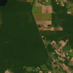 ArcGIS Web Application