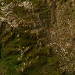 ArcGIS Web Application