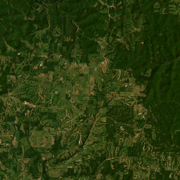 ArcGIS Web Application