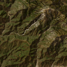 ArcGIS Web Application