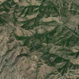 ArcGIS Web Application