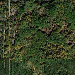 ArcGIS Web Application