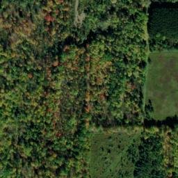ArcGIS Web Application