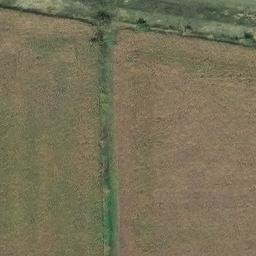 ArcGIS Web Application