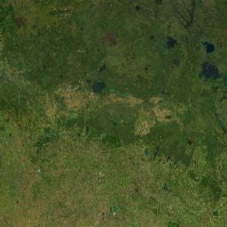 ArcGIS Web Application