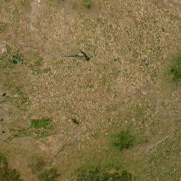 ArcGIS Web Application