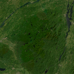 ArcGIS Web Application