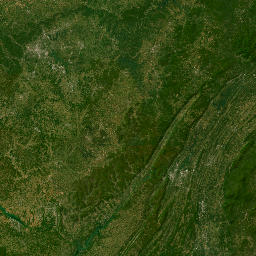 Georgia Dfirm Flood Map