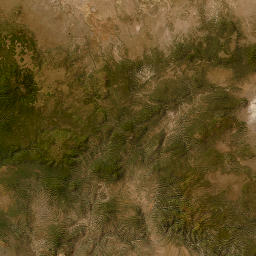 ArcGIS Web Application