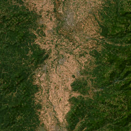 ArcGIS Web Application