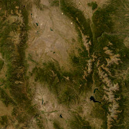 ArcGIS Web Application