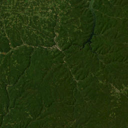 ArcGIS Web Application