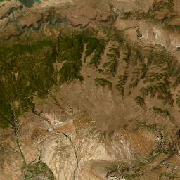 ArcGIS Web Application