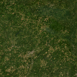 ArcGIS Web Application