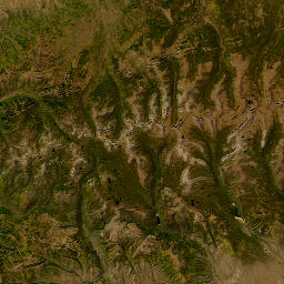 ArcGIS Web Application