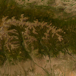 ArcGIS Web Application