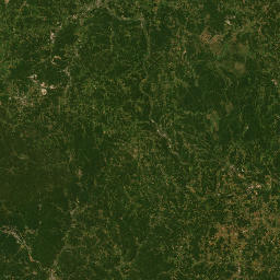 ArcGIS Web Application