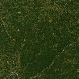 ArcGIS Web Application