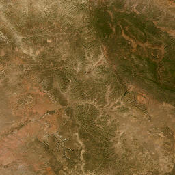 ArcGIS Web Application