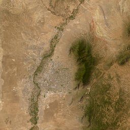 ArcGIS Web Application