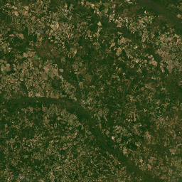 ArcGIS Web Application