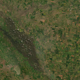 ArcGIS Web Application