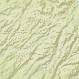 ArcGIS Web Application