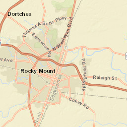 ArcGIS Web Application