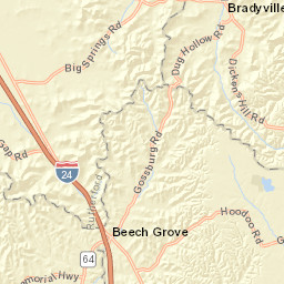 ArcGIS Web Application