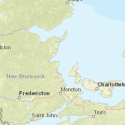 Electricity Outage Map