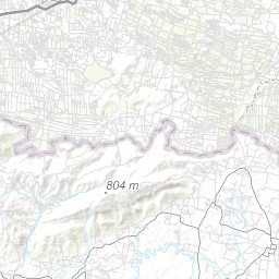 ArcGIS World Geocoding Service