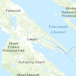 ArcGIS Web Application